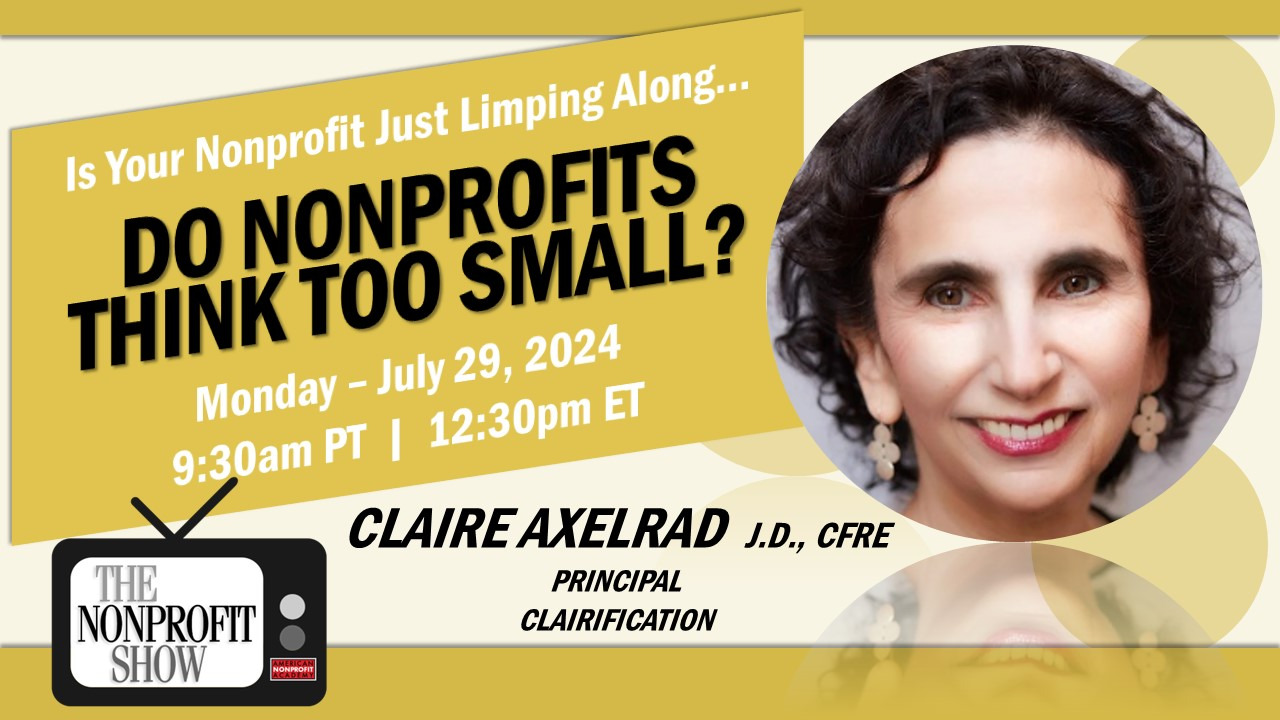 Do Nonprofits Think Too Small?