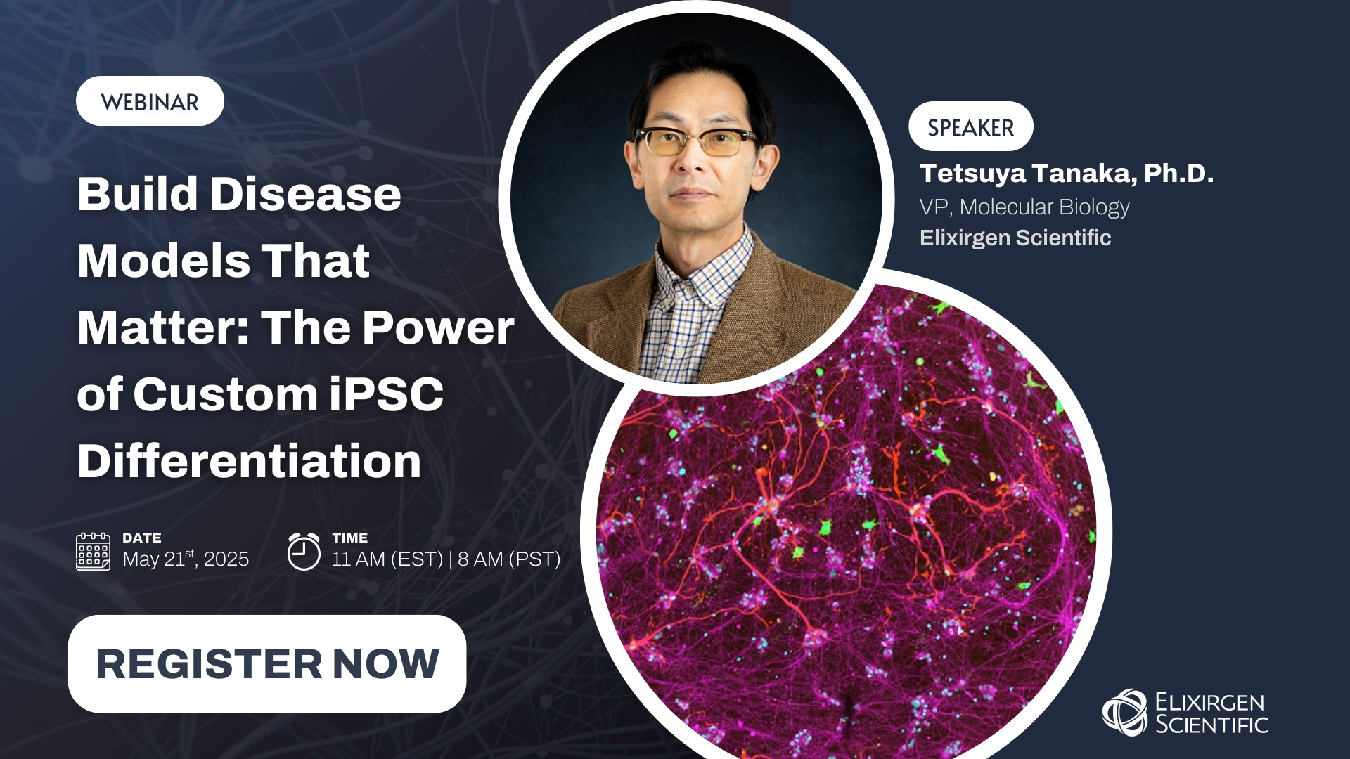 Build Disease Models That Matter: The Power of Custom iPSC Differentiation