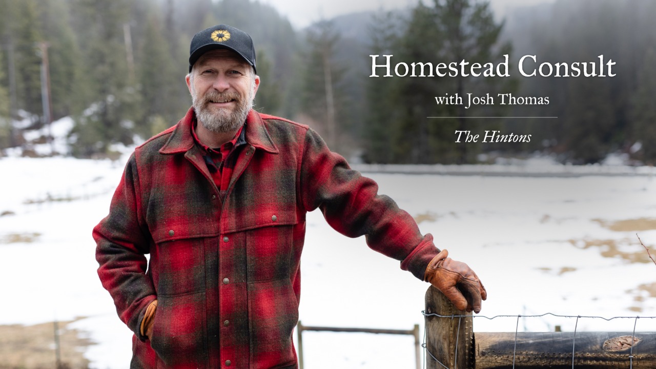 Homestead Consult with Josh Thomas: The Hintons