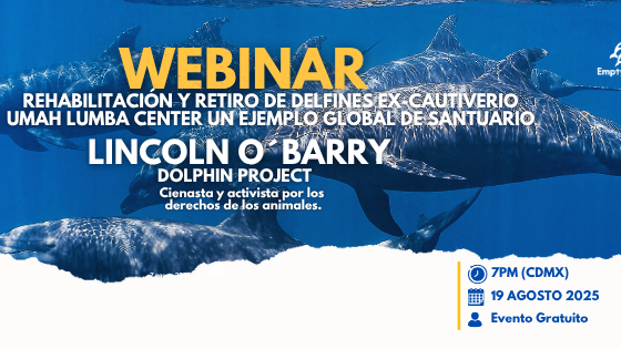 Webinar: UMAH Lumba Center un ejemplo global de santuario