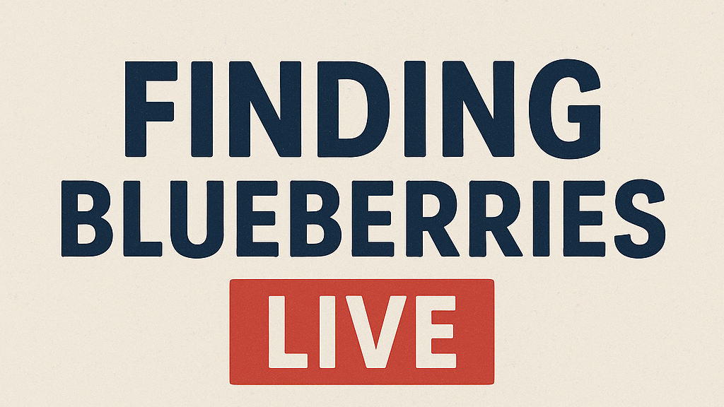 Finding Blueberries LIVE: Building Resilience