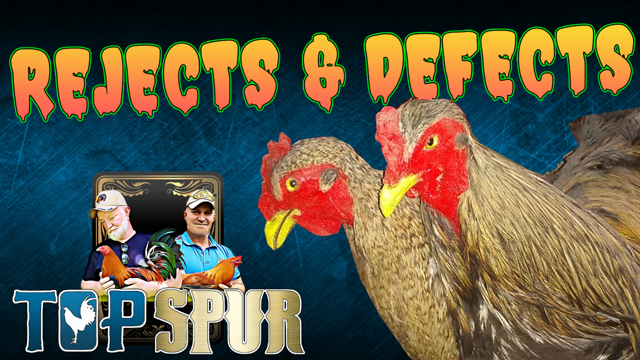 Top Spur | Rejects & Defects