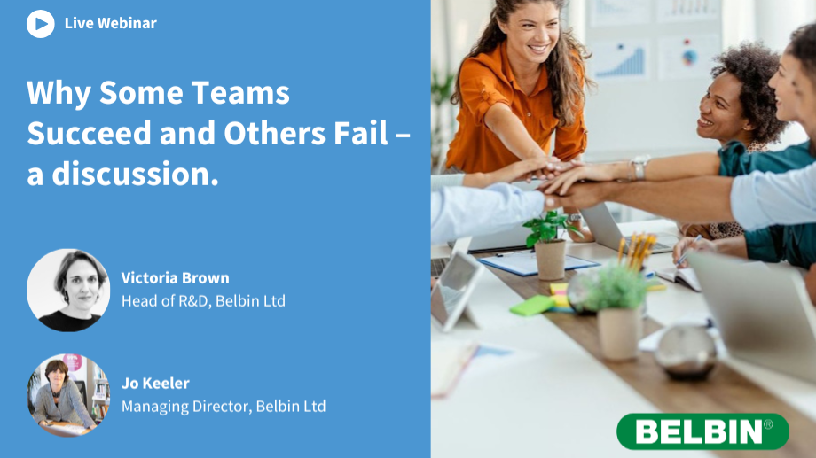 Why Some Teams Succeed and Others Fail – a discussion