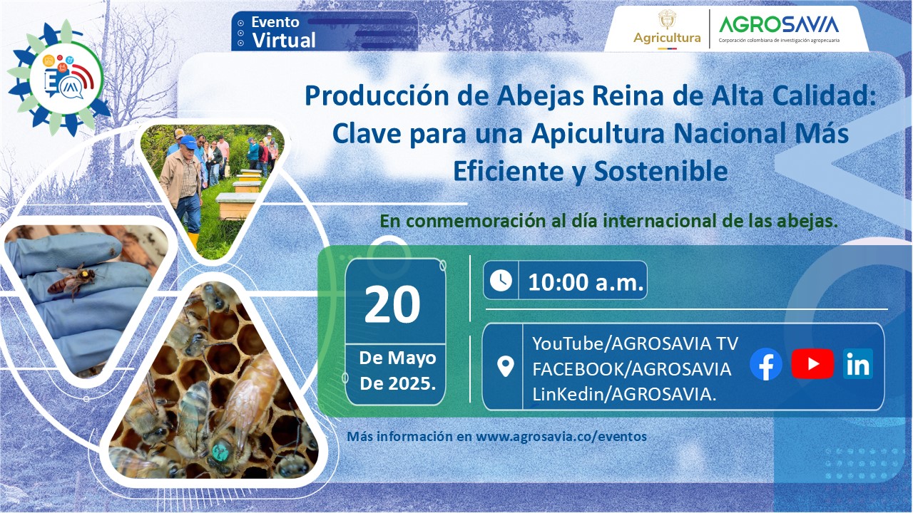 17562 Producción de Abejas Reina de Alta Calidad: Clave para una ...