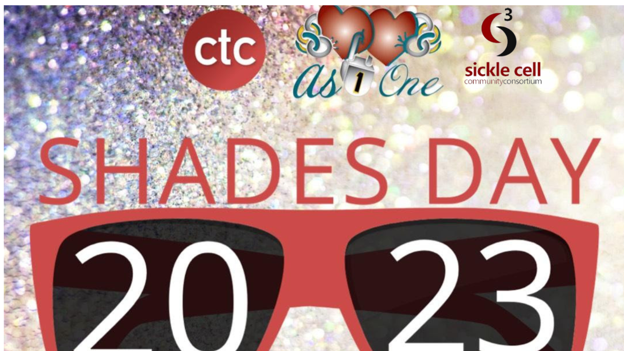 Shades Day 2023
