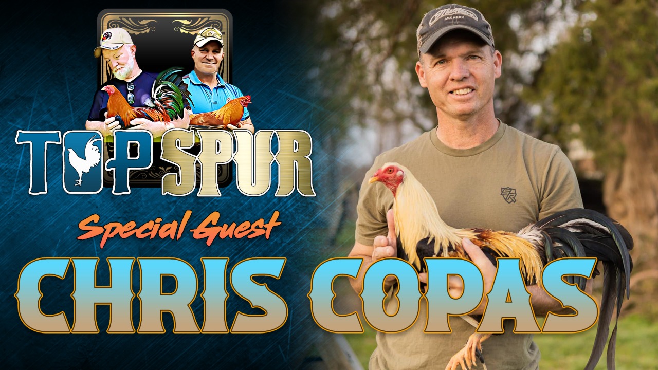 Top Spur | Chris Copas