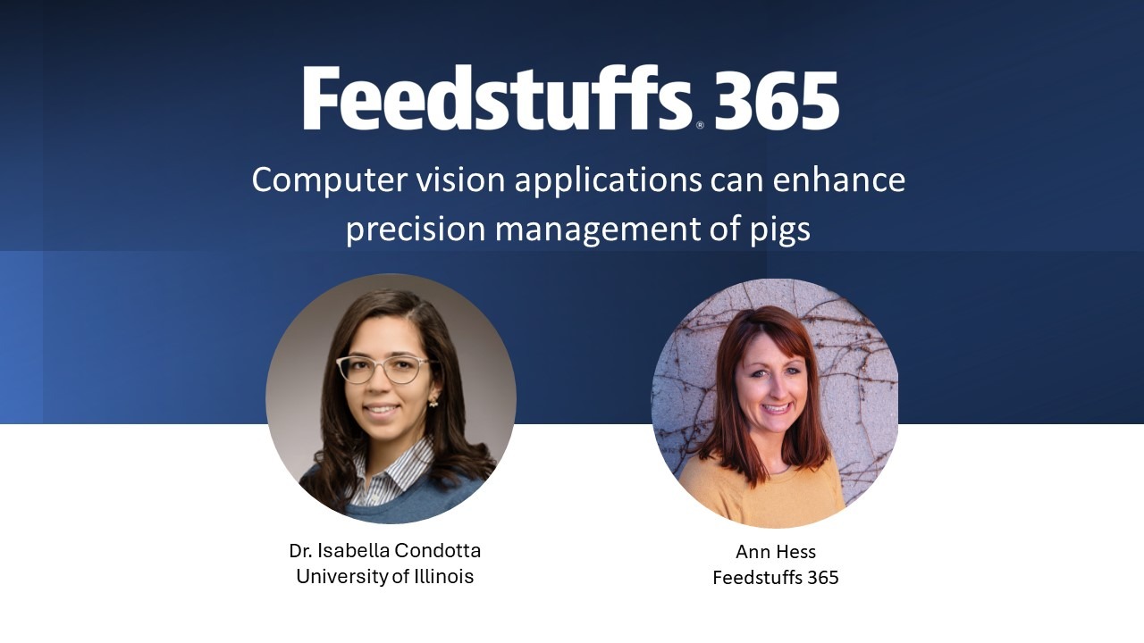 Computer vision applications can enhance precision management of pigs