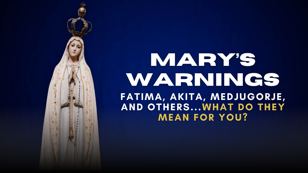 Mary's Warnings: Fatima, Akita, Medjugorje, and others...what do they mean for you?