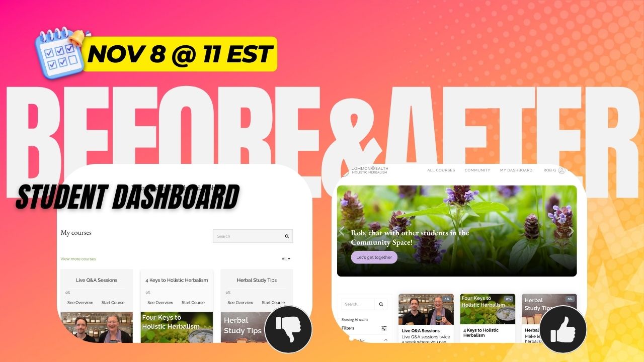 Before & After Student Dashboard