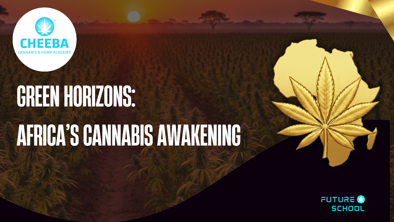 🌿 GREEN HORIZONS: AFRICA’S CANNABIS AWAKENING 🌿