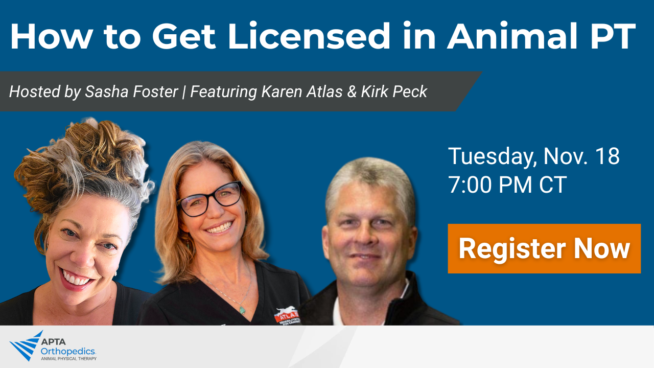 How to Get Licensed in Animal Physical Therapy