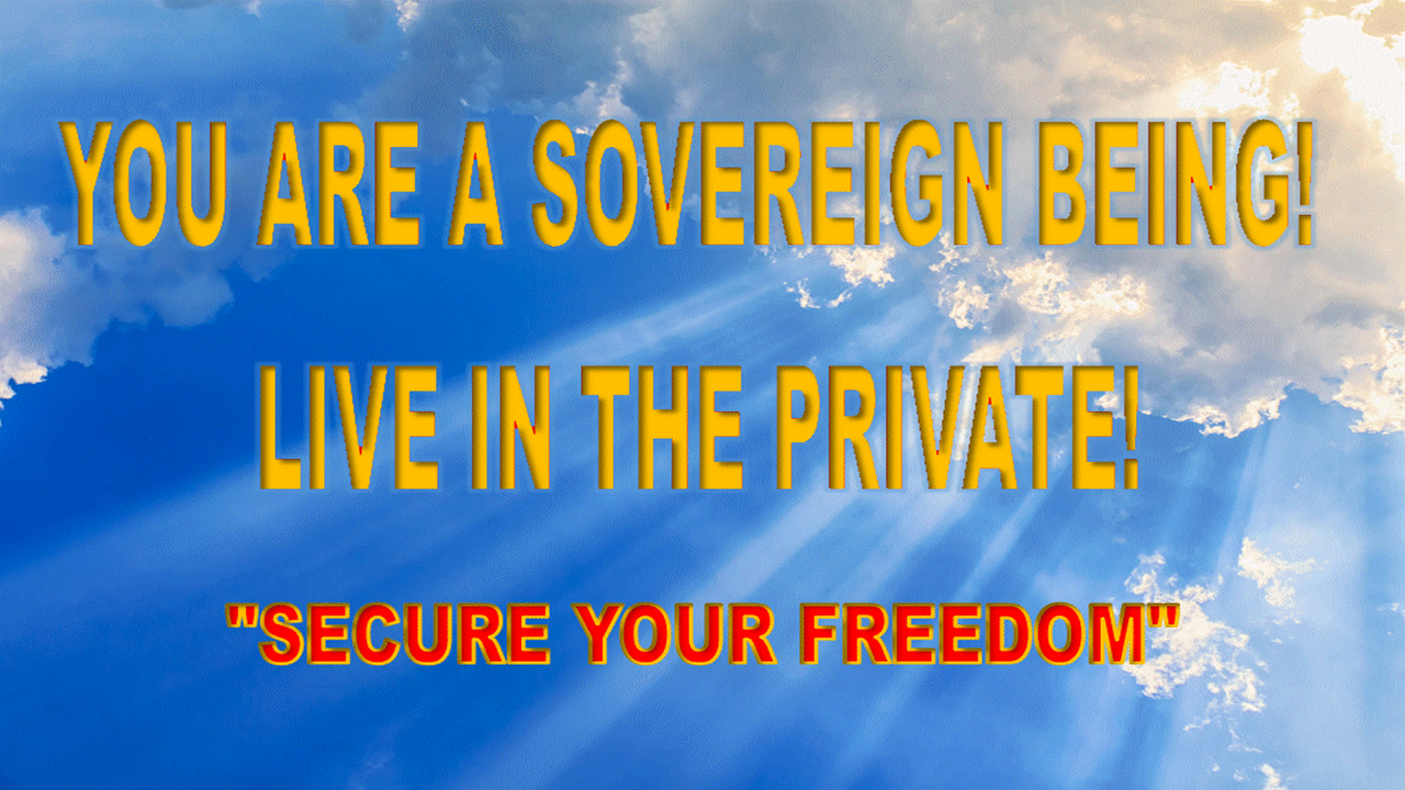 I AM NO LONGER UNDER GOVERNMENT CONTROL, I AM SOVEREIGN CLASS 10 ...