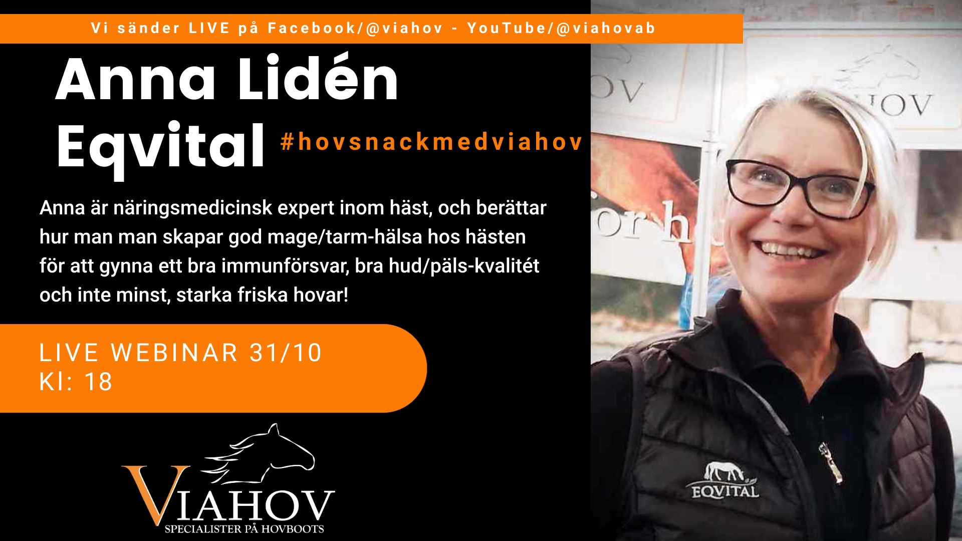 Anna Lidén gästar Hovsnack med Viahov