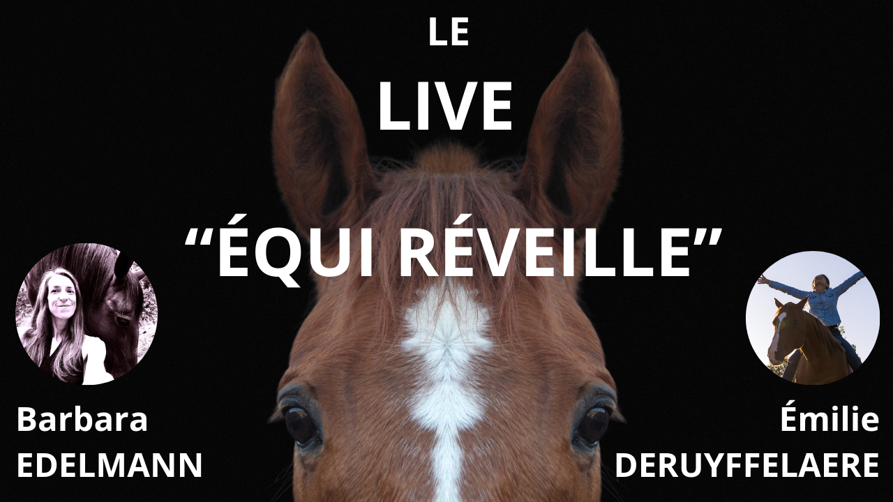 Live Équi-Réveille