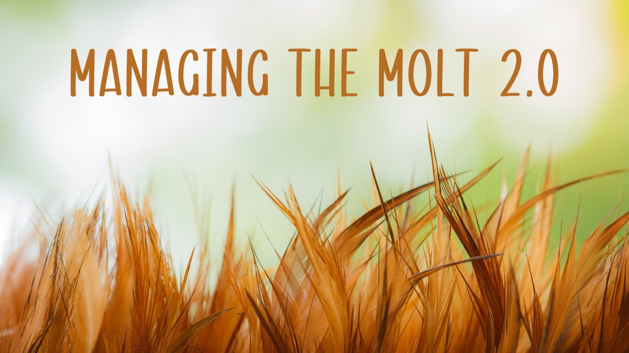 It's Molting Season!