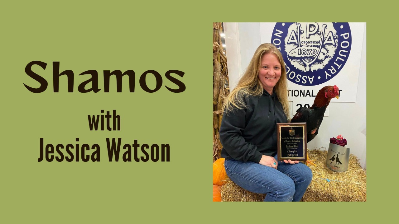 Shamos with Jessica Watson