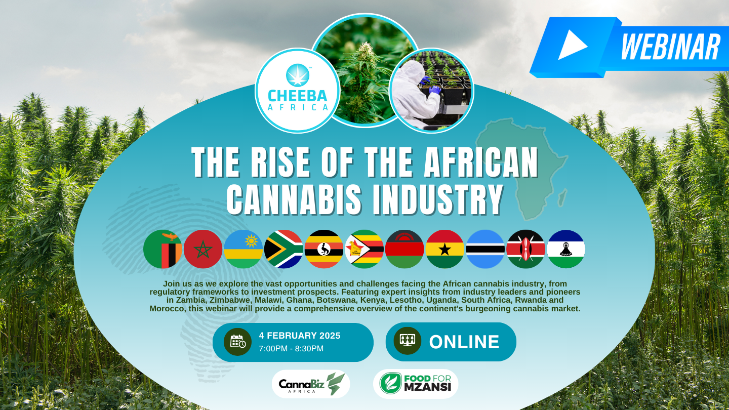 The Rise Of The African Cannabis Industry
