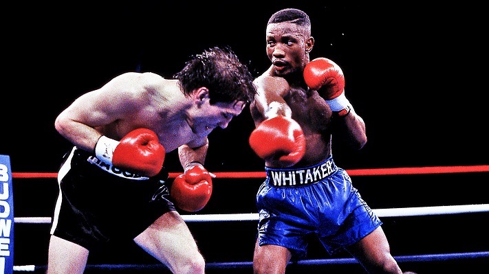 Whitaker vs Haugen LIVE FILM STUDY