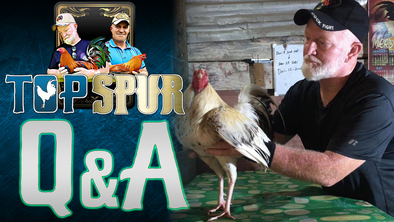 Top Spur | Q&A