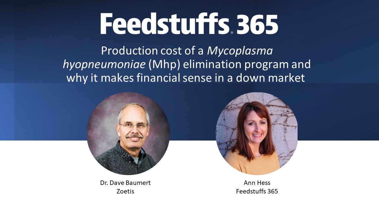 Production cost of a Mycoplasma hyopneumoniae (Mhp) elimination program ...