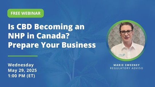 Is CBD Becoming an NHP in Canada? Prepare Your Business