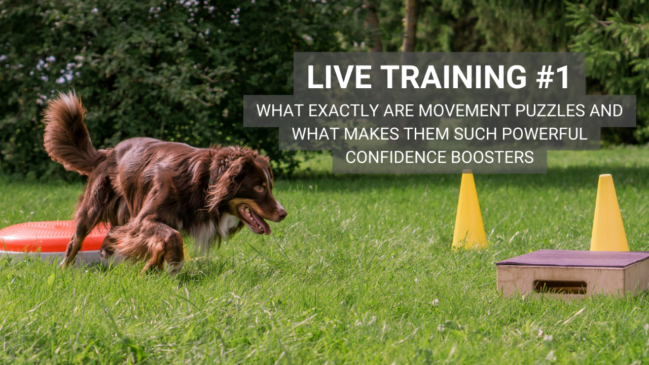 Your First Movement Puzzle live training #1