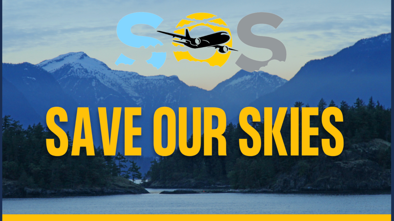Save Our Skies Swarm Webinar