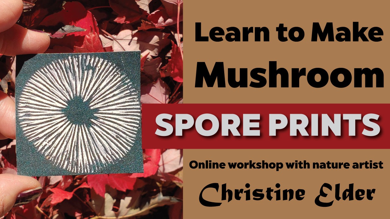 Let's Create a Mushroom Spore Print!