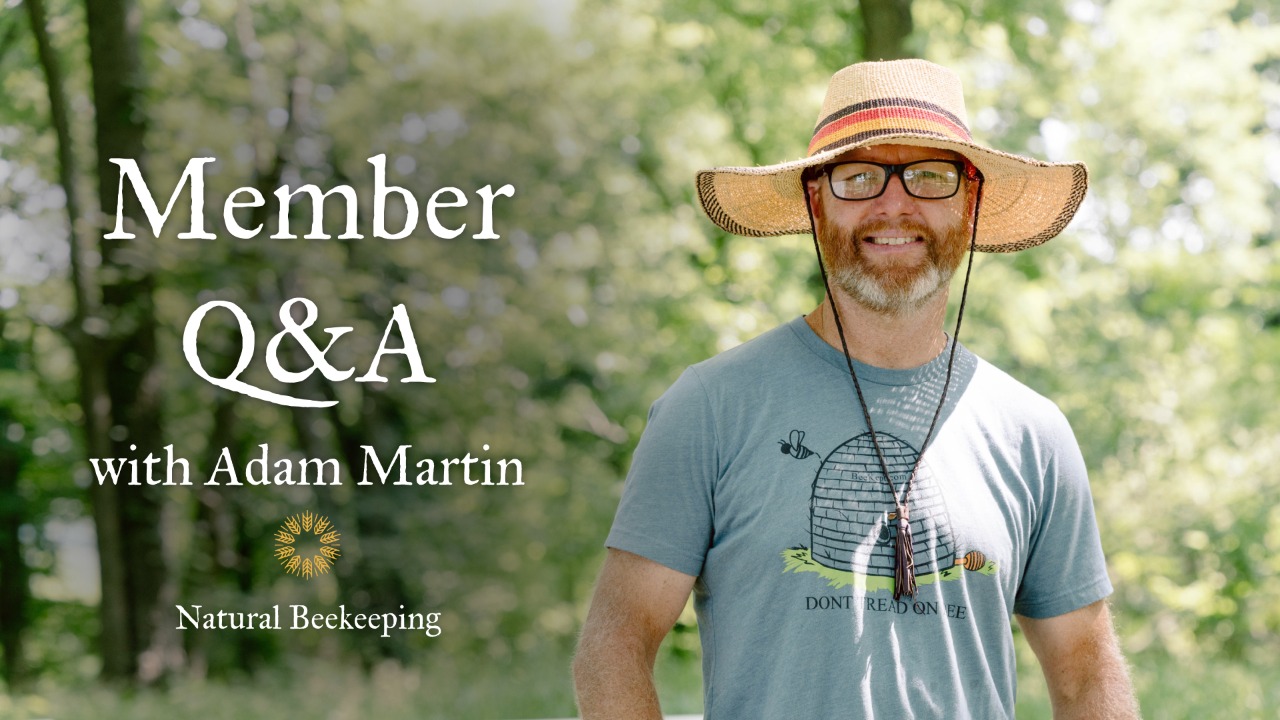 Member Q&A with Adam Martin