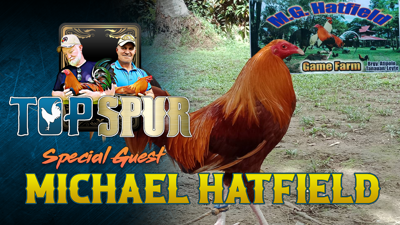 TopSpur LIVE | Michael Hatfield
