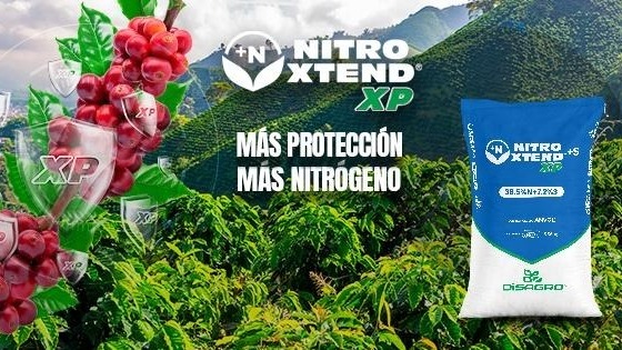 NITRO XTEND® XP