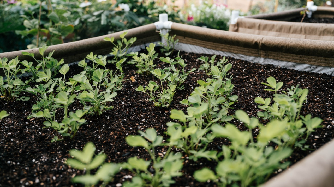 Smart Raised Bed Gardening with Brian Lowell