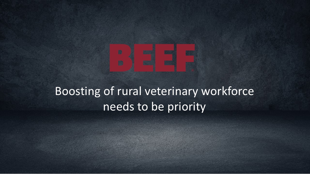 Boosting of rural veterinary workforce needs to be priority