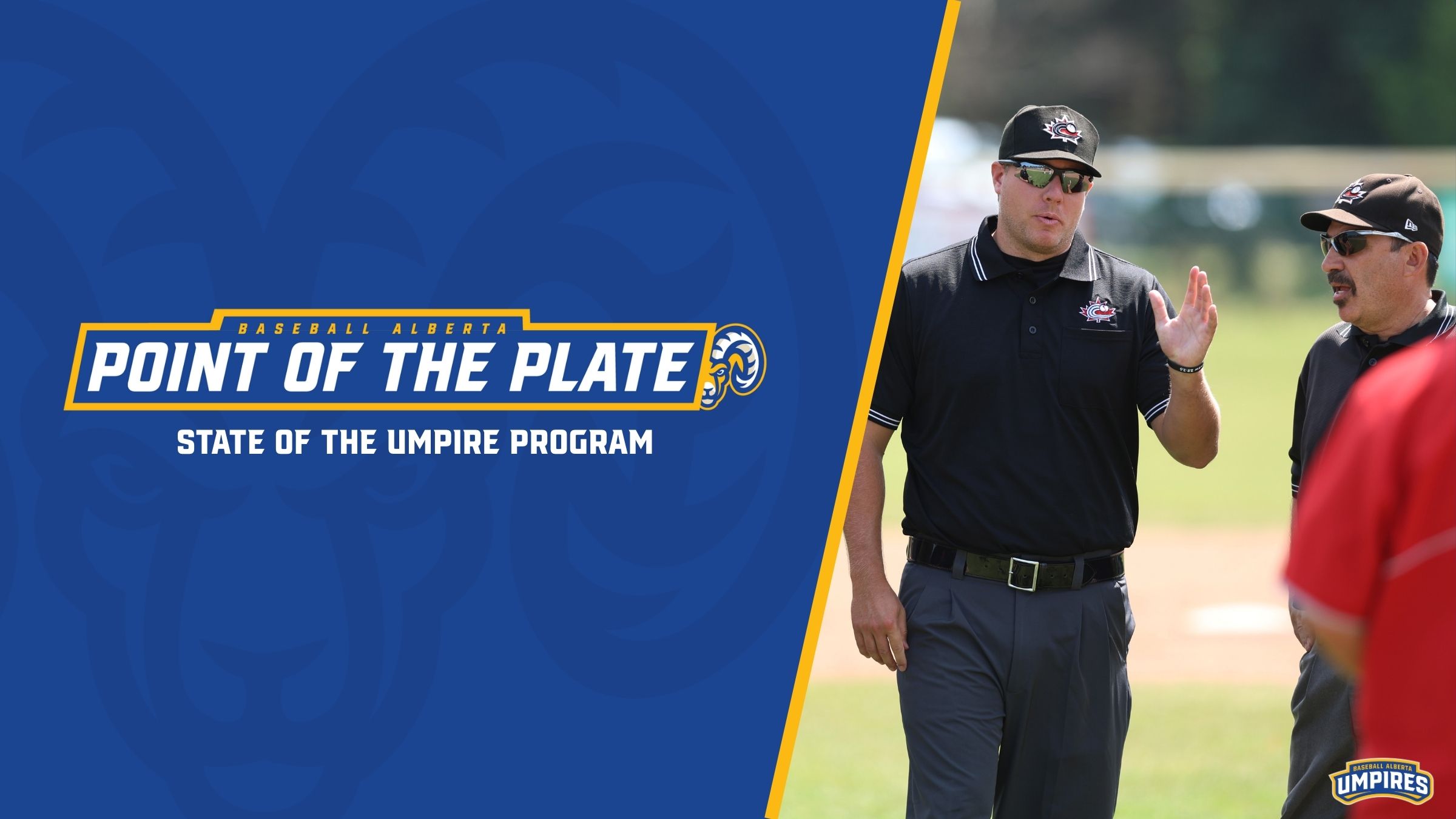 Point of the Plate: State of the Umpire Program - An Evening With Brandon Strocki