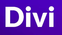 HUGE #DIVI NEWS!! 1 DOLLAR DIVI COMING FAST!! BITCOIN BOOM XMAS!