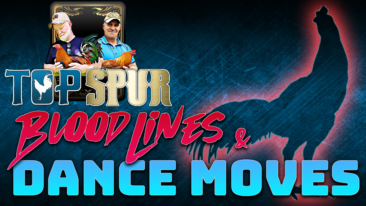 Blood Lines & Dance Moves