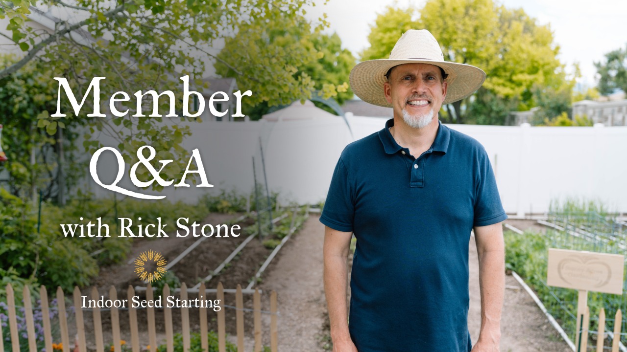 Rick Stone Seed Starting Member Q&A