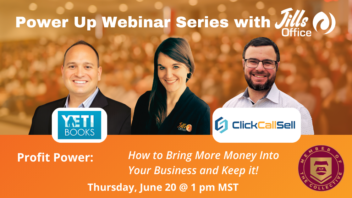 Profit Power: How to Bring More Money Into Your Business and Keep it!