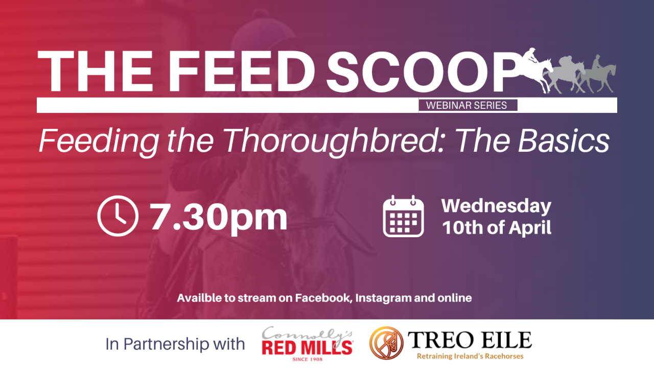 The Feed Scoop: When you first get your thoroughbred