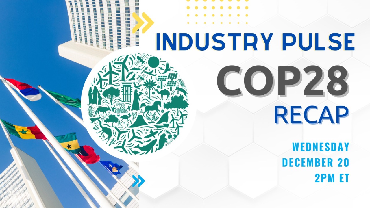 Industry Pulse: COP28 Recap