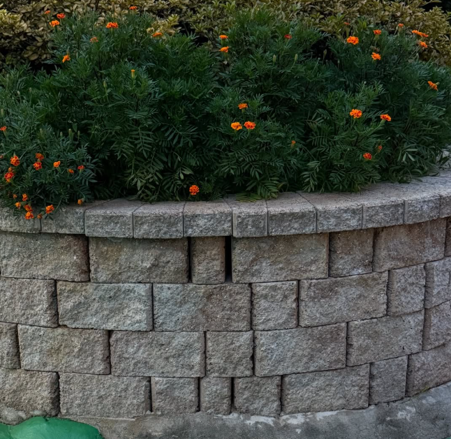 [비기너1반] 동기와 의욕을 높이는 방법