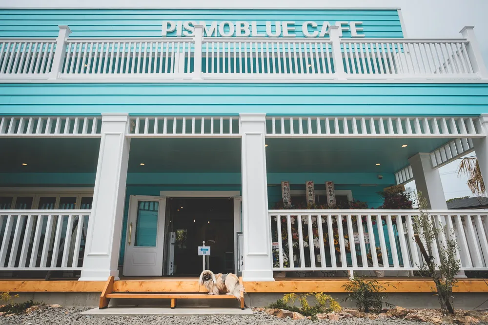 南知多に、カリフォルニアをイメージした大型カフェがOPEN！さっそく行ってきた。『PISMOBLUE CAFE』～愛知県知多郡