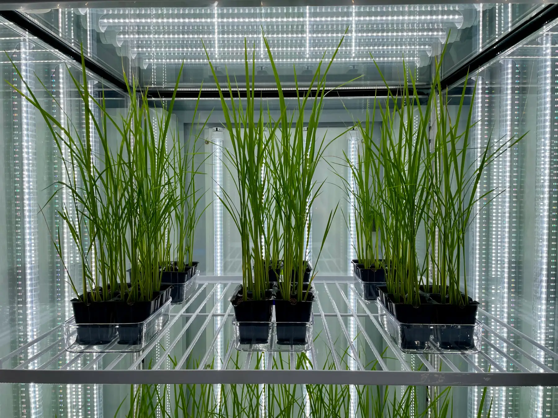 株式会社WAKU｜NEWS