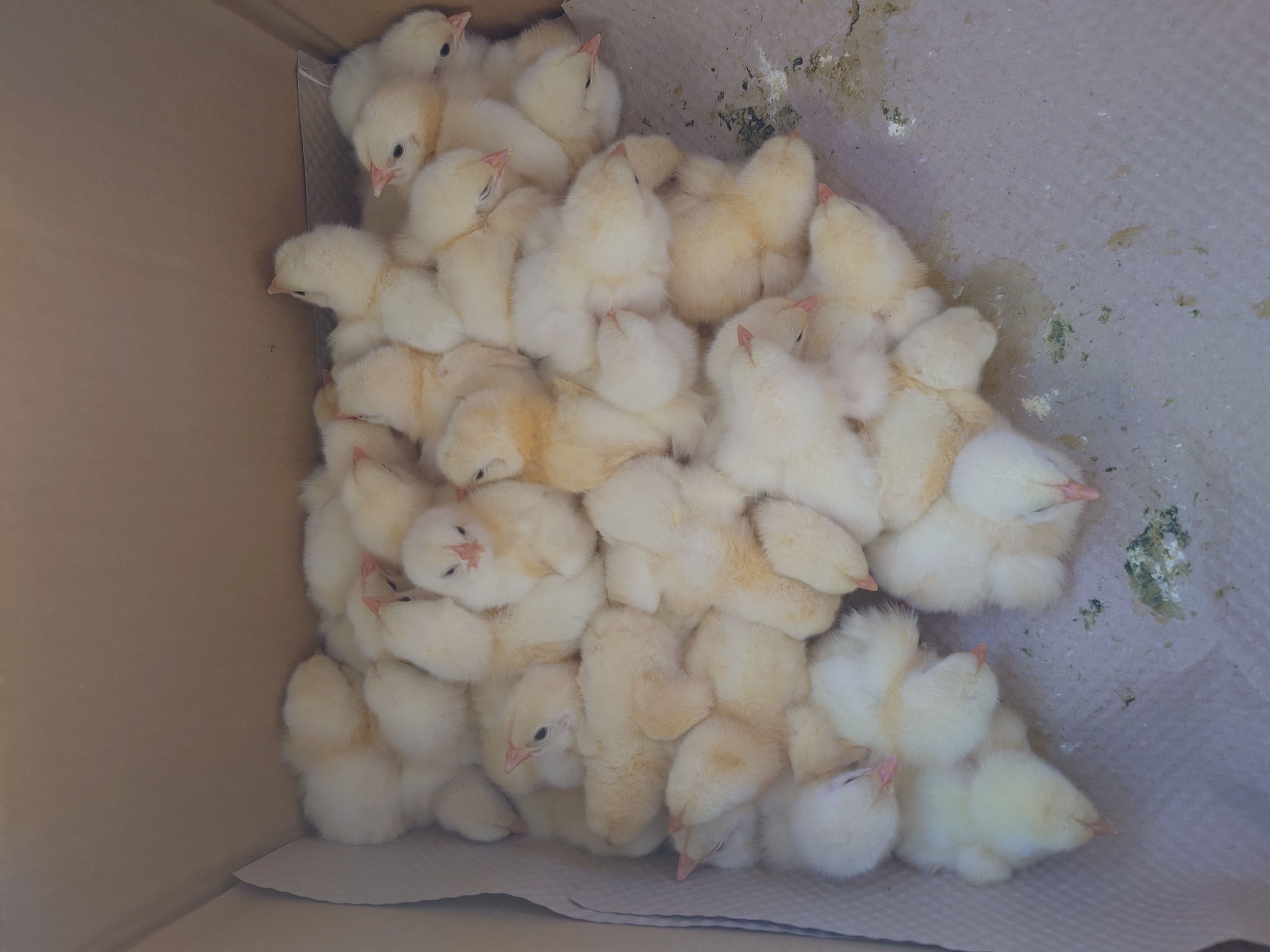 株式会社WAKU｜NEWS