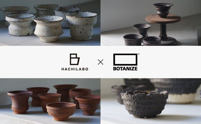 塊根植物ブランド「BOTANIZE（ボタナイズ）」、鉢ECブランド「HACHILABO（ハチラボ）」の人気作家鉢を販売する店頭イベントを2月9日（金）～2月13日（火）に表参道店で開催 ...