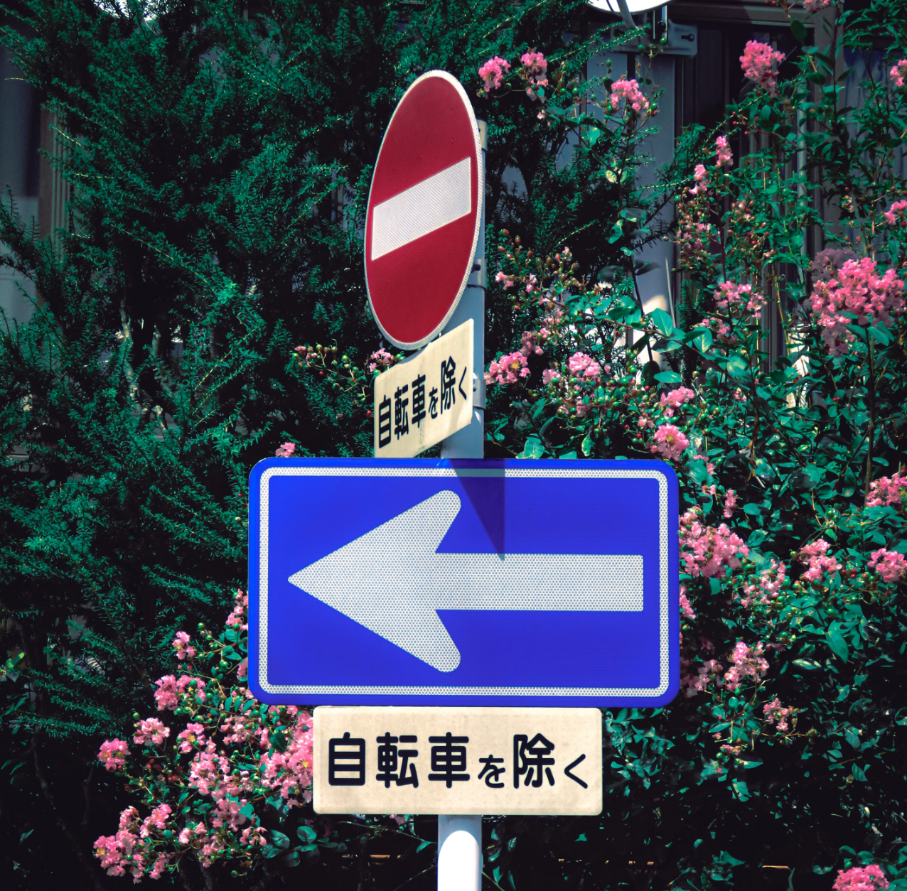 5 Essential Road Signs in Japan