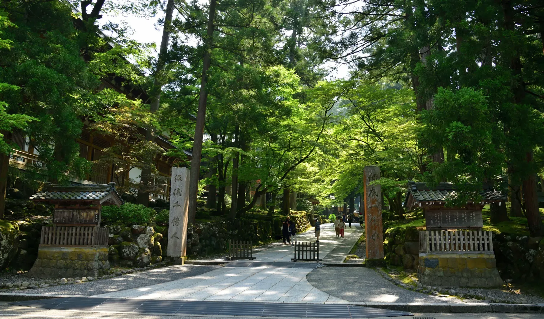 When Vegetable Dishes Become Shojin Cuisine: About Zen Shojin Cuisine ...