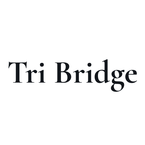 株式会社Tri Bridge