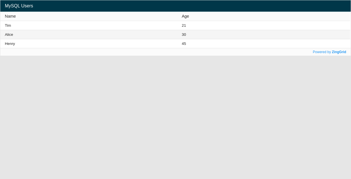 ZingGrid: Blank Grid