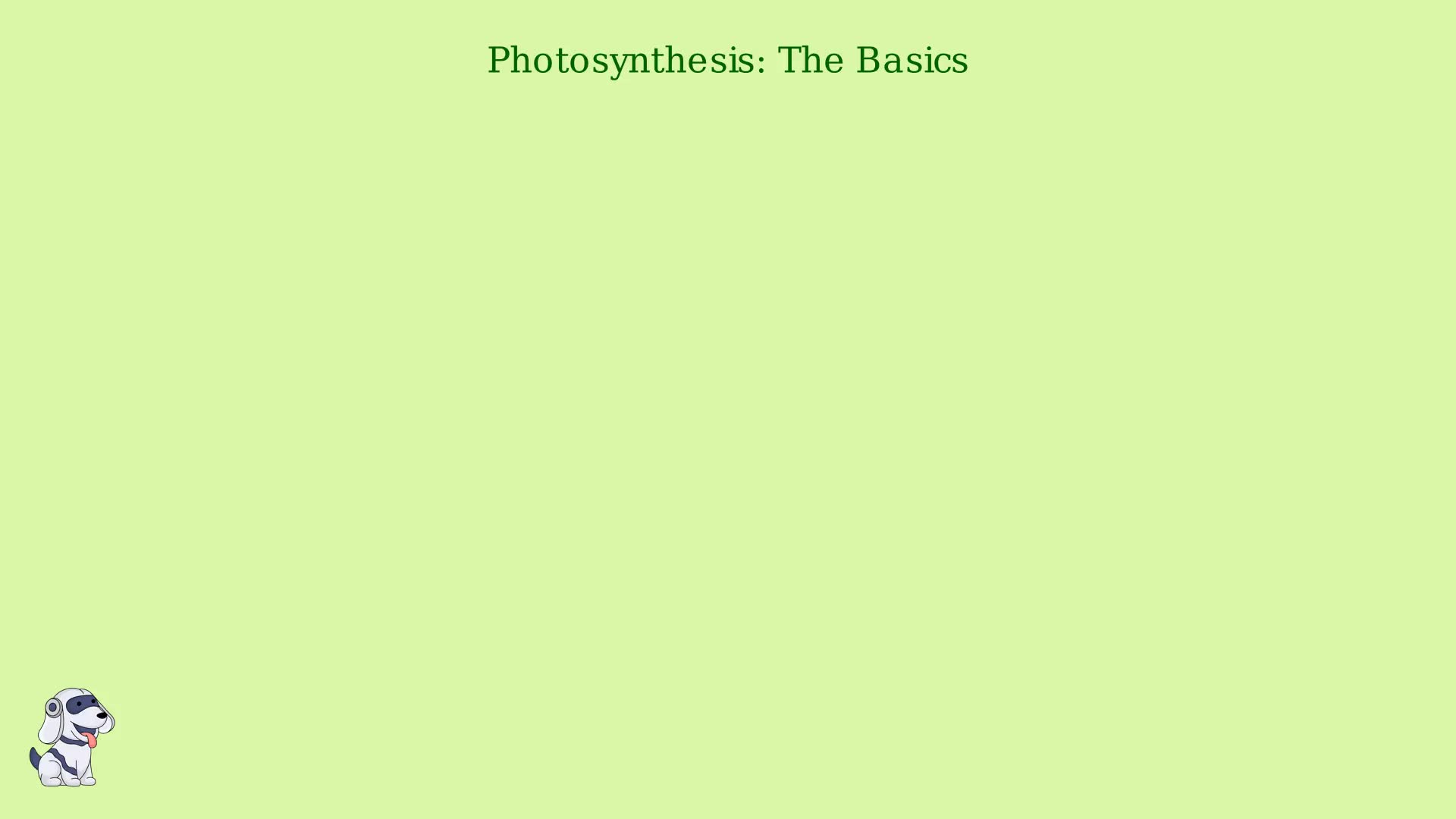 How Photosynthesis Works (Animated Explainer) | Imagine Explainers